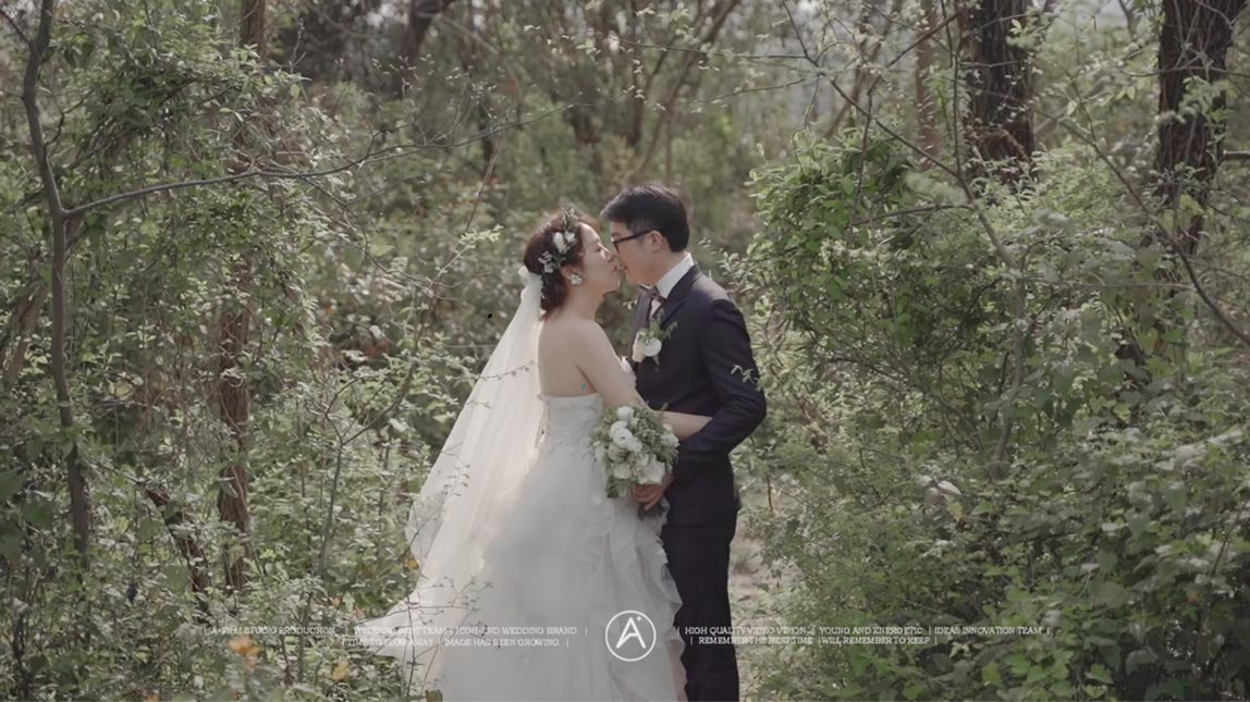 APLUS x WEDDING IAN ＆ FIONA May.18-A + 影视工坊 - 给你无可替代的婚礼电影,婚礼跟拍,婚礼摄像。